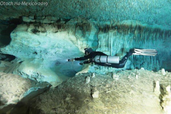 Pluto Dive | Scuba Diving & Cenote Tours in Playa del Carmen