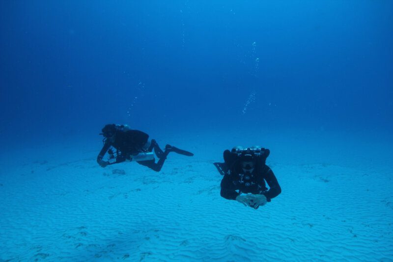 Pluto Dive | Scuba Diving & Cenote Tours in Playa del Carmen